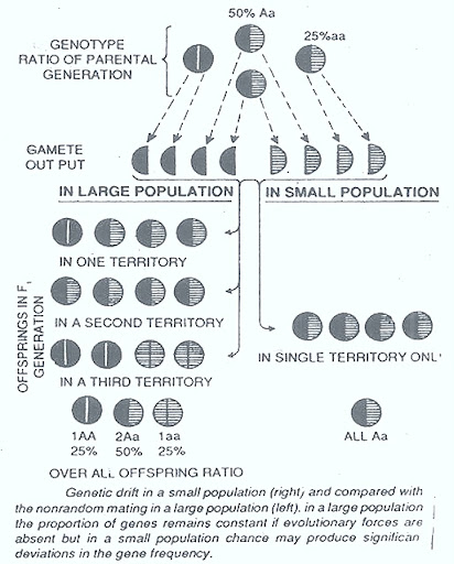 Blog Archives - crewfiko